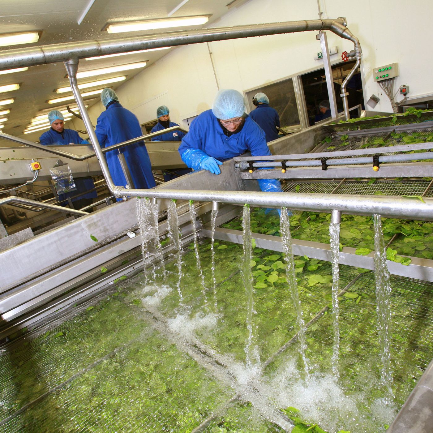 Drywite ltd - Food Processing Products