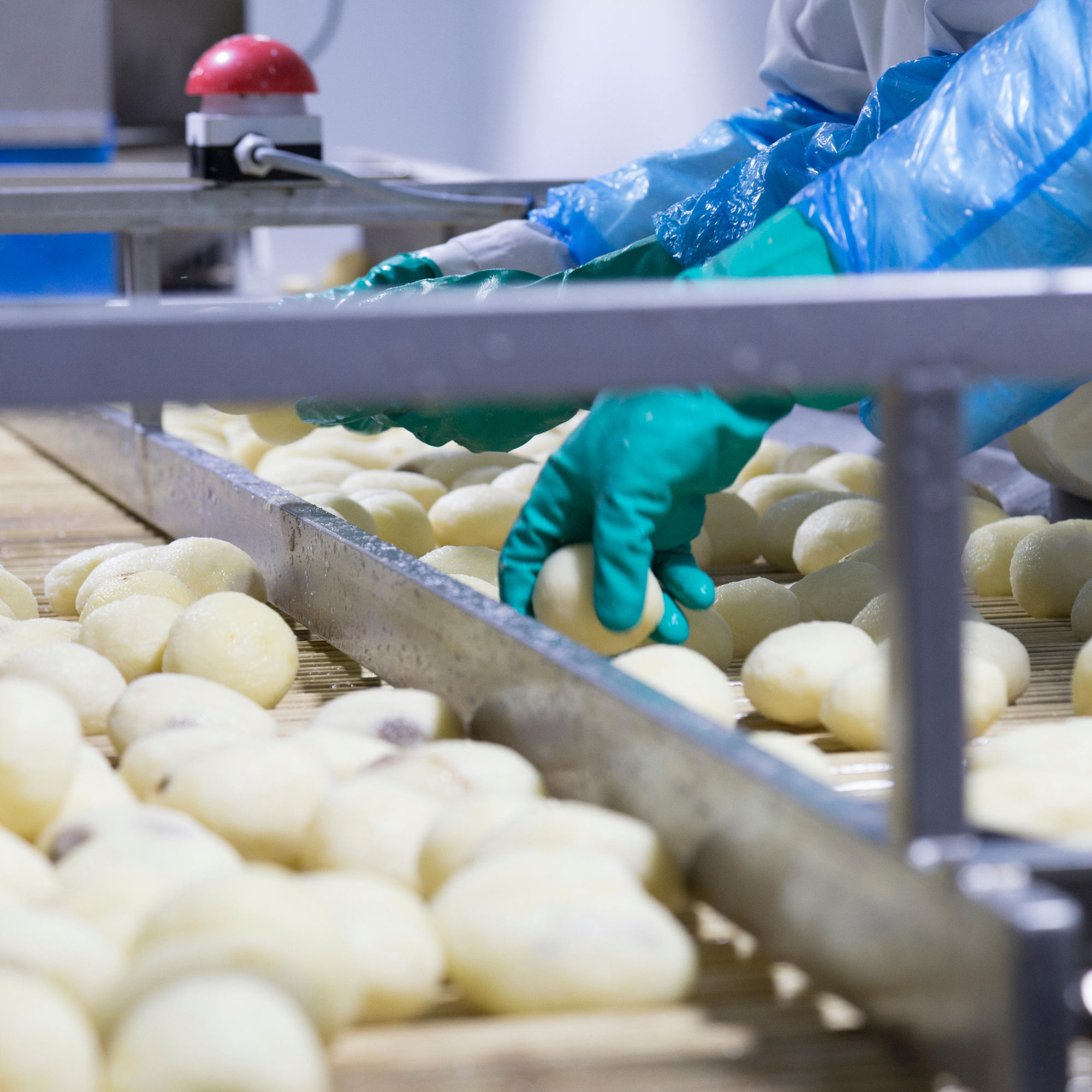 Drywite ltd - Food Processing Products