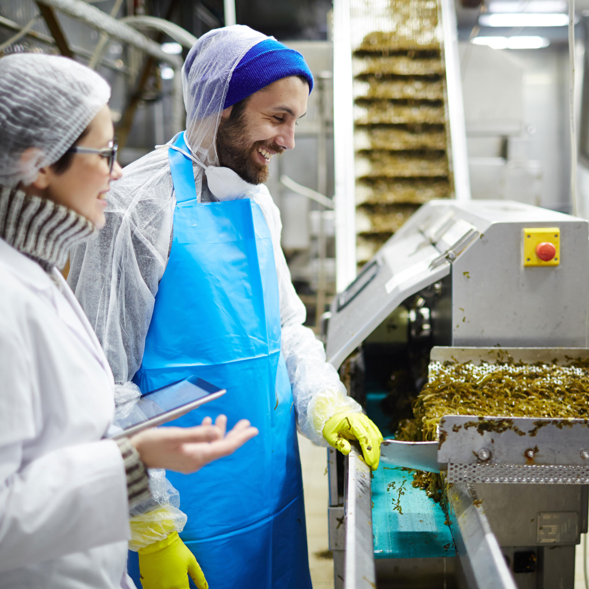 Drywite ltd - Food Processing Products